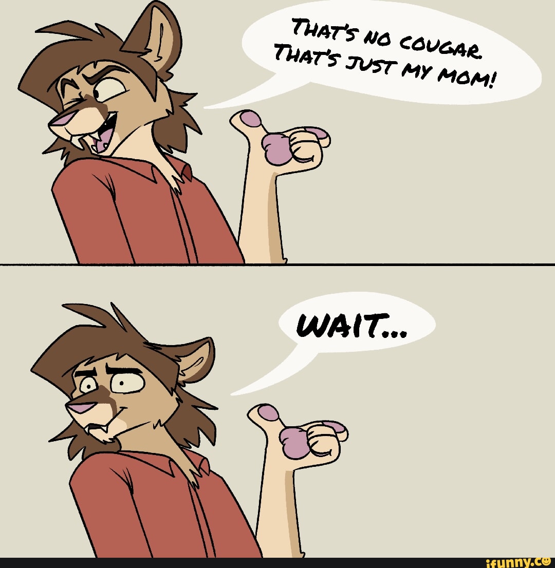 Cougar memes. Best Collection of funny Cougar pictures on iFunny