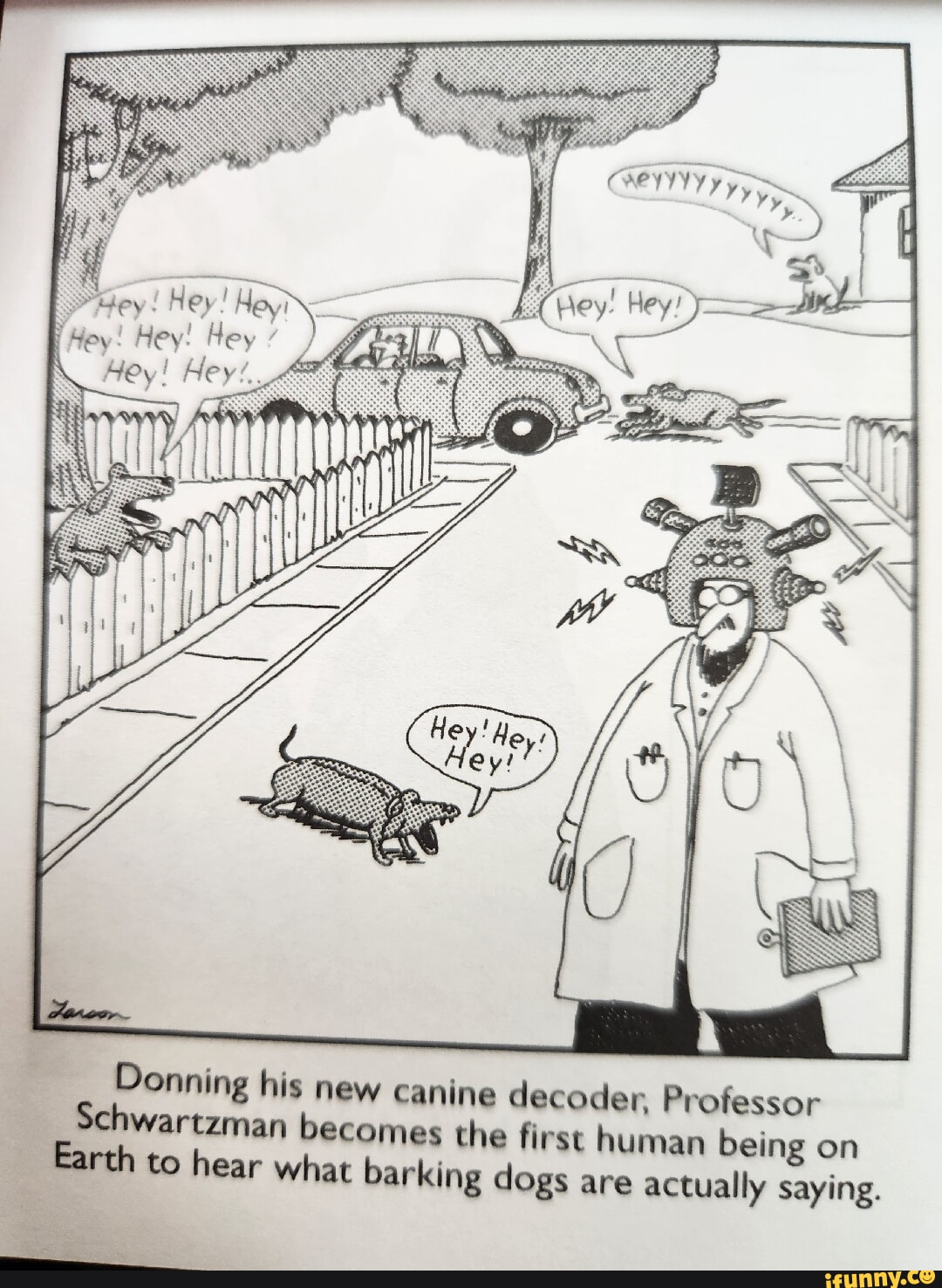 (Hey! Hey) Donning his new canine decoder, Professor wartzman becomes ...