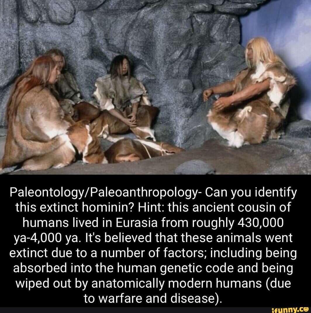 \ ye Can you identify this extinct hominin? Hint: this ancient cousin ...