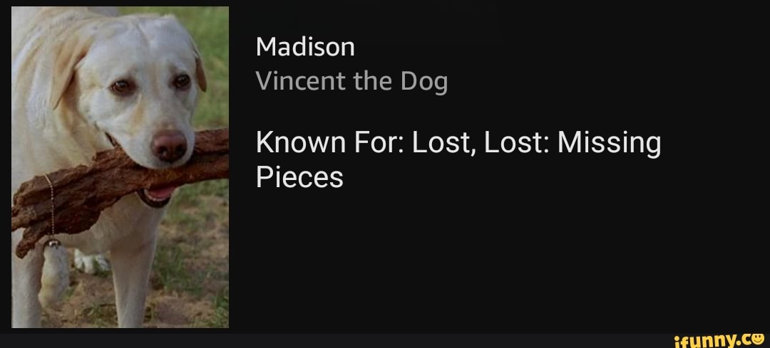 Madison Vincent the Dog Known For: Lost, Lost: Missing Pieces - iFunny