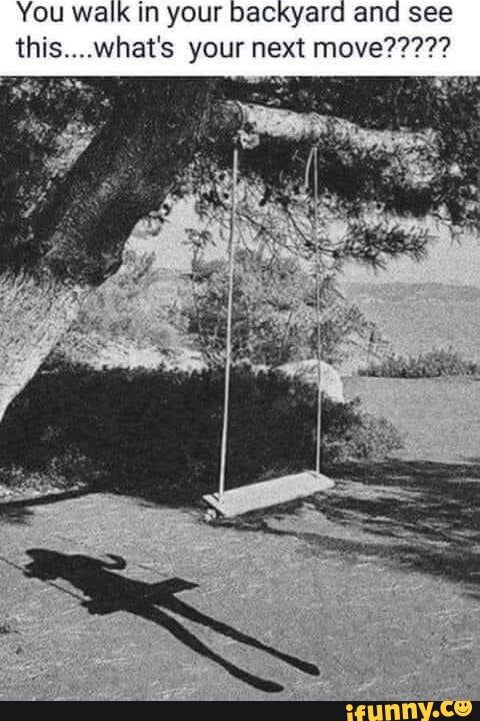 You walk in your backyard and see this whats your next move????? - iFunny