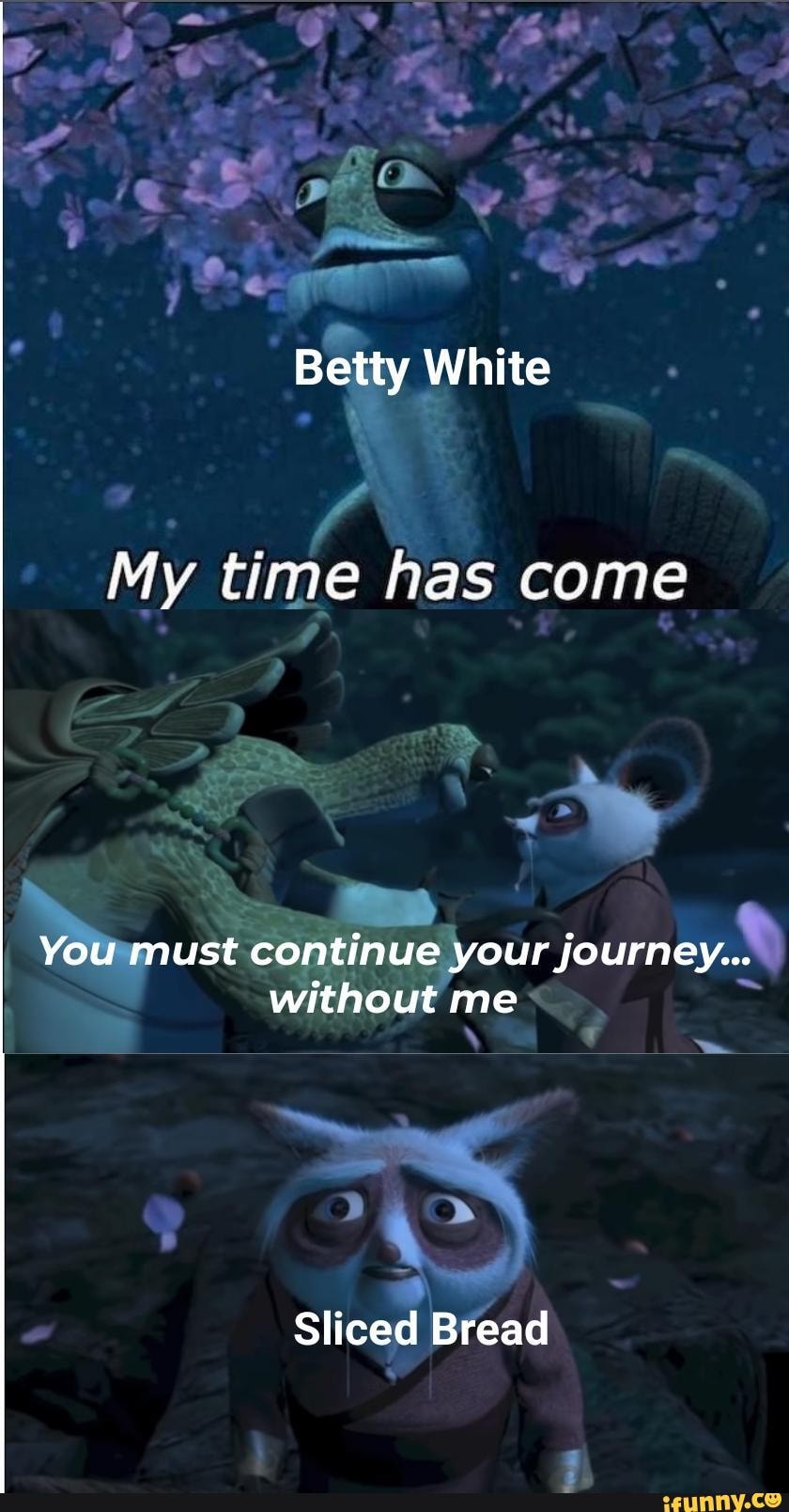 Video memes IRLC1GVL8 by BirbPerson: 146 comments - )