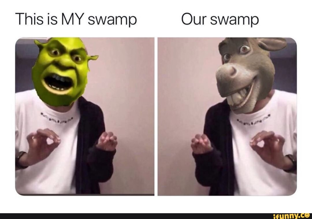 This is MY swamp Our swamp - iFunny