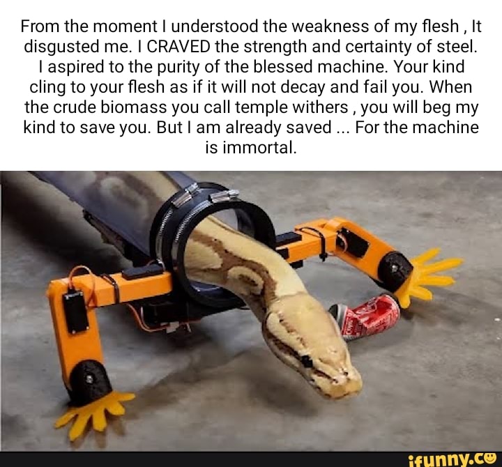 Omnissiah memes. Best Collection of funny Omnissiah pictures on iFunny