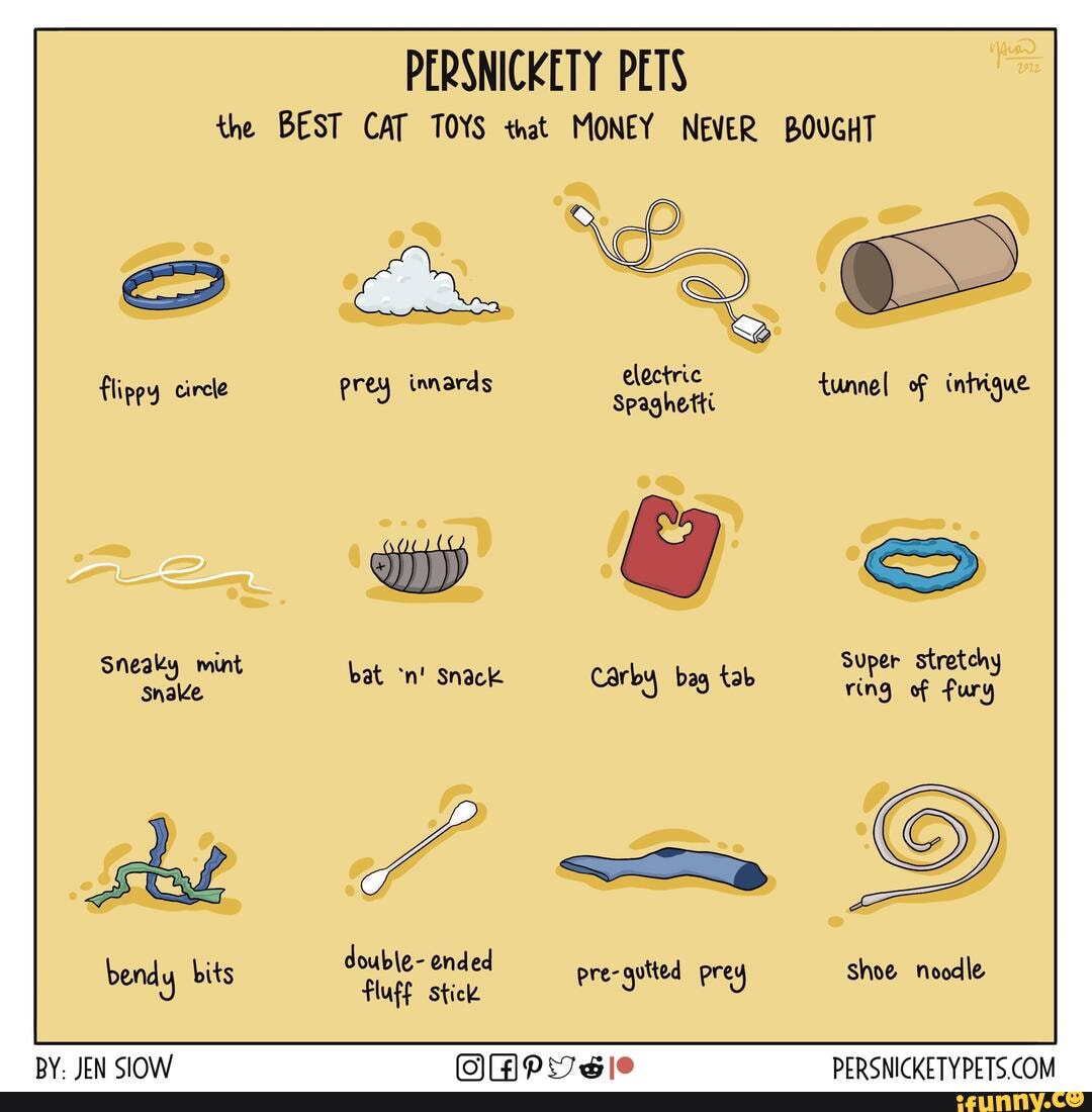 Persnickety memes. Best Collection of funny Persnickety pictures on iFunny