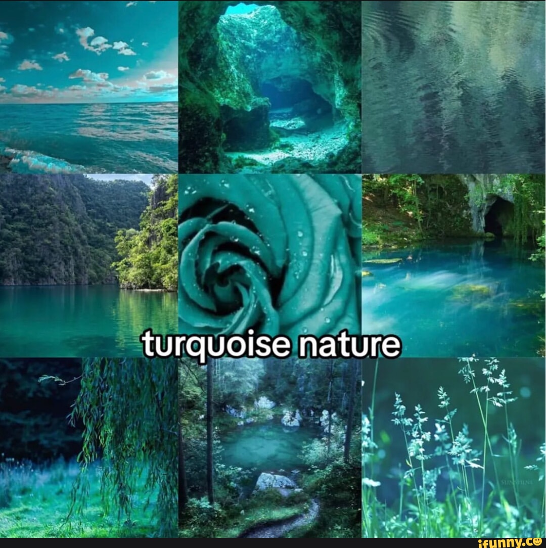 Map of Pangea with modern-day borders - iFunny