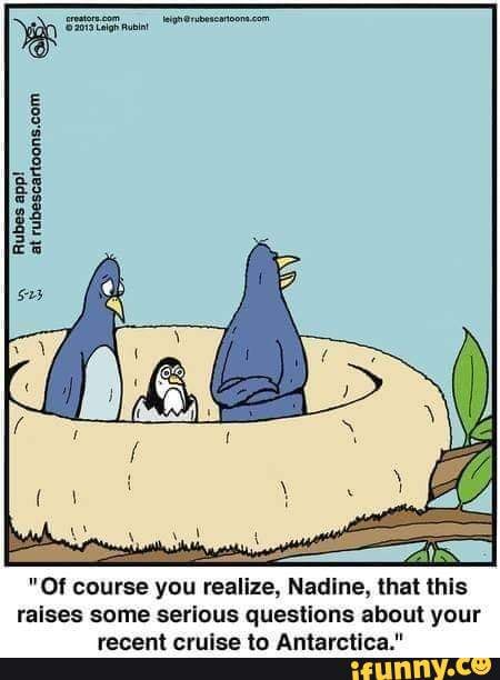 Nadine memes. Best Collection of funny Nadine pictures on iFunny