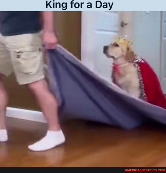 King for a Day - America’s best pics and videos