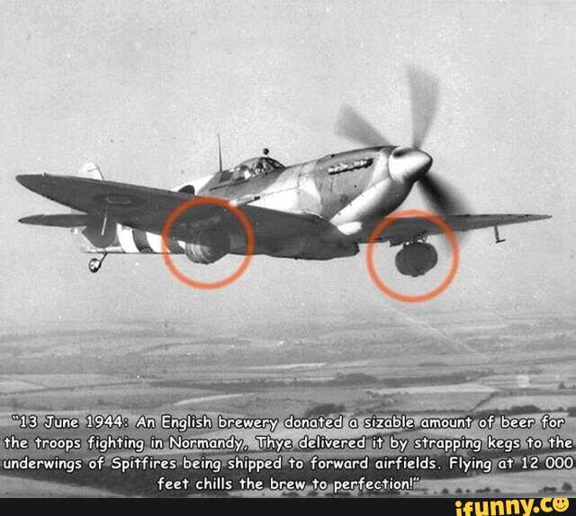 Underwings memes. Best Collection of funny Underwings pictures on iFunny