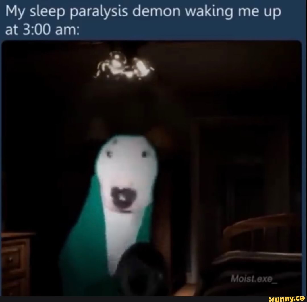 My sleep paralysis demon waking me up - iFunny