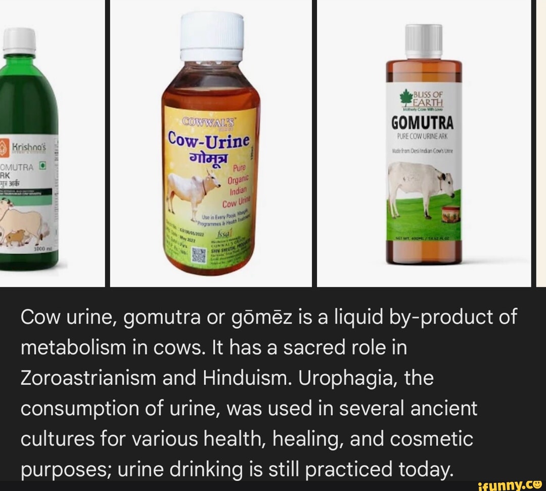 GOMUTRA URINE AR, ich Cow ire Cow urine, gomutra or gomez is a liquid ...