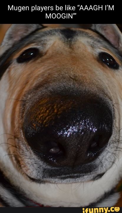 Mugen memes. Best Collection of funny Mugen pictures on iFunny