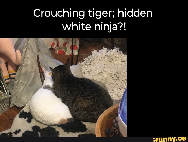 Crouching memes. Best Collection of funny Crouching pictures on iFunny