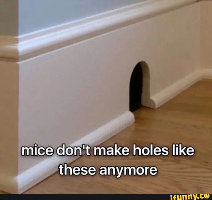 Holes memes. Best Collection of funny Holes pictures on iFunny