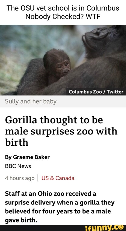 Zoo memes. Best Collection of funny Zoo pictures on iFunny
