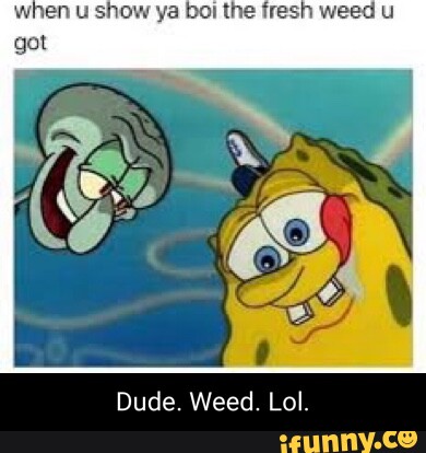 When u show ya boi the fresh weed u got Dude. Weed. Lol. - iFunny