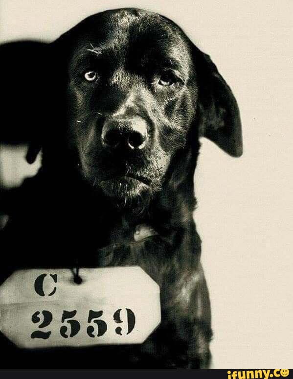 Eastern_state_penitentiary memes. Best Collection of funny Eastern ...