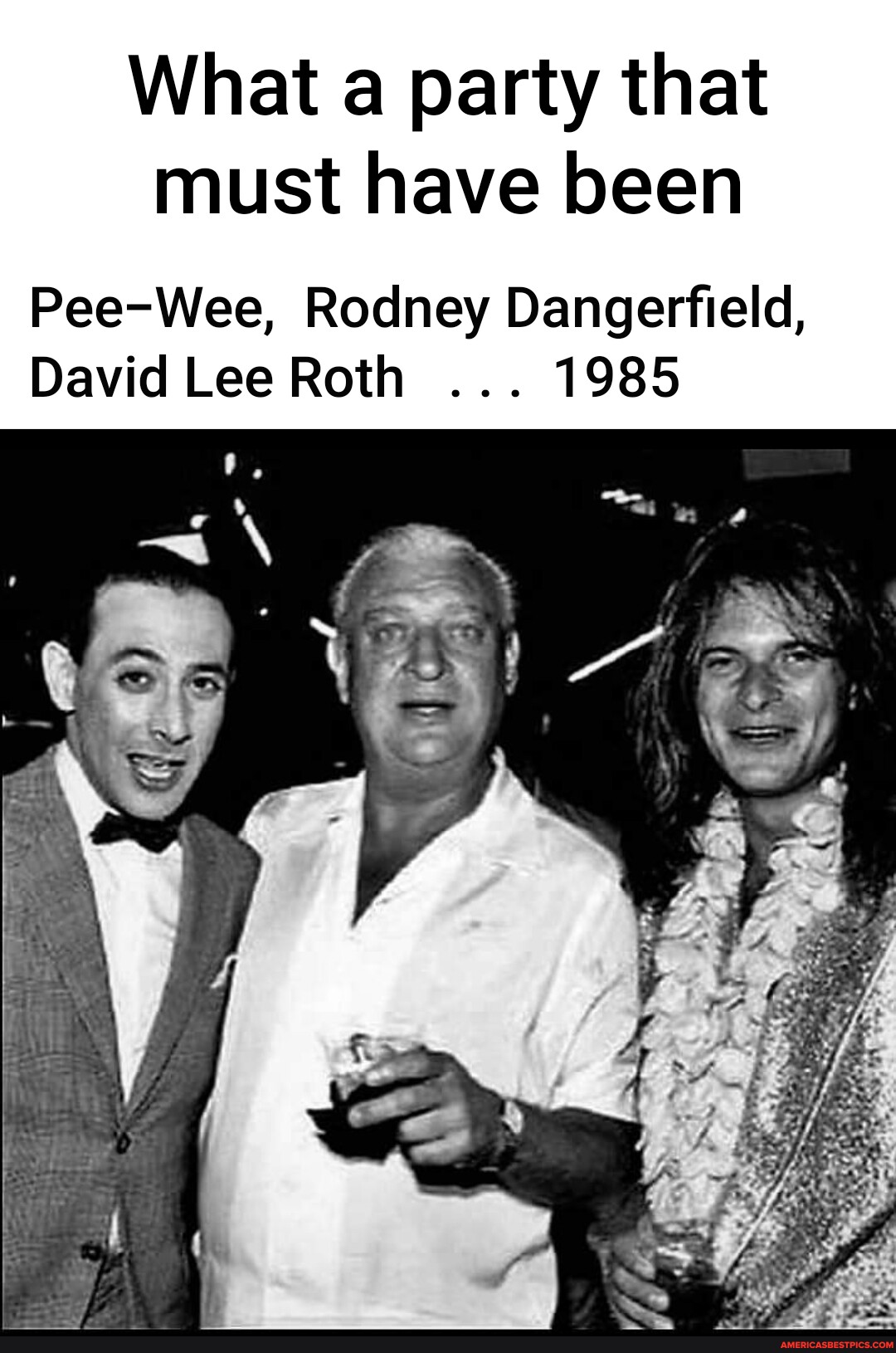 What a party that must have been Pee-Wee, Rodney Dangerfield, David Lee ...