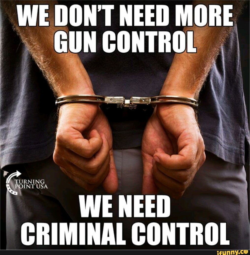 Gun Control Meme