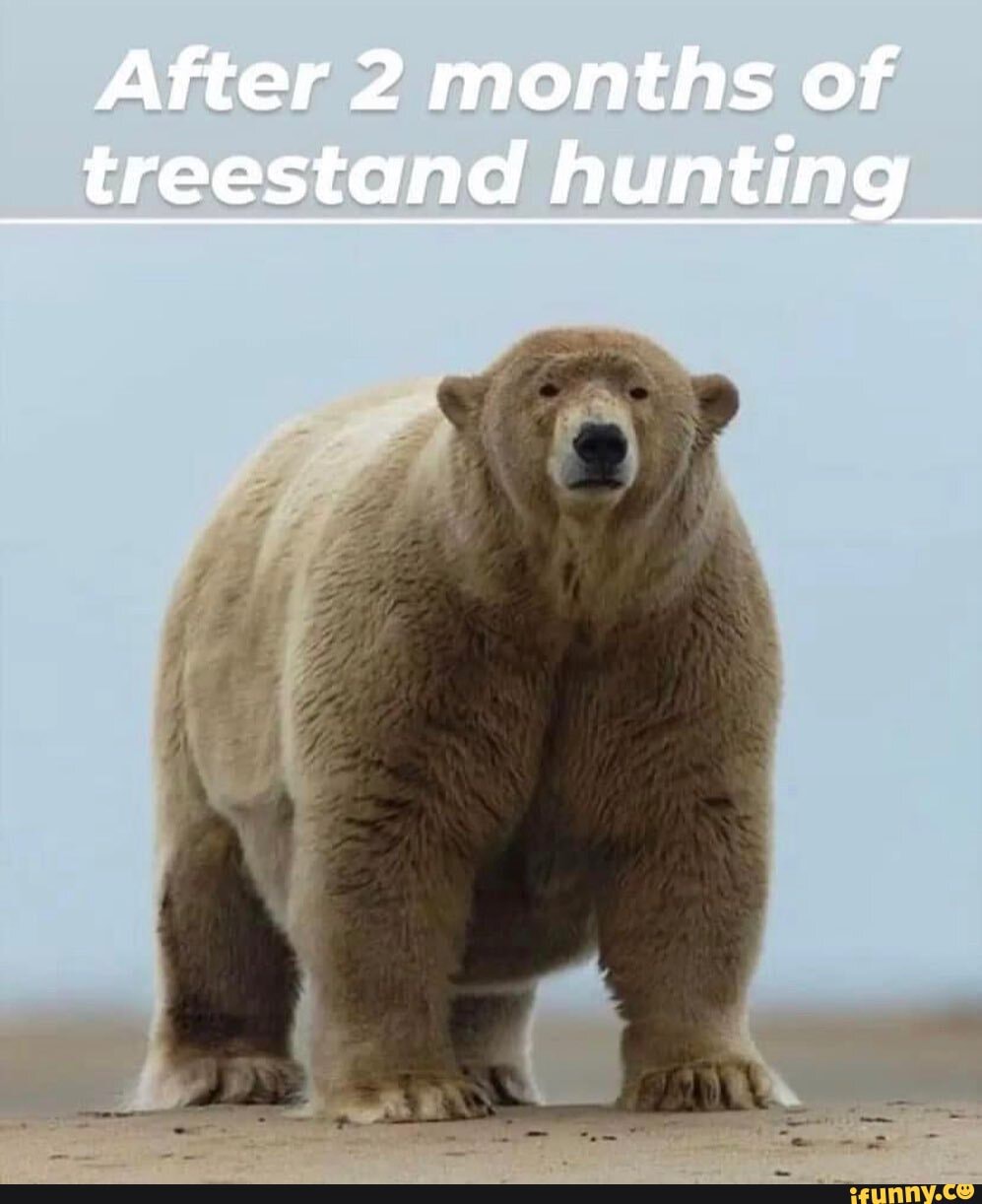 Treestand memes. Best Collection of funny Treestand pictures on iFunny