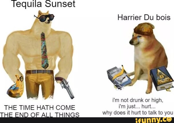 Harrier memes. Best Collection of funny Harrier pictures on iFunny