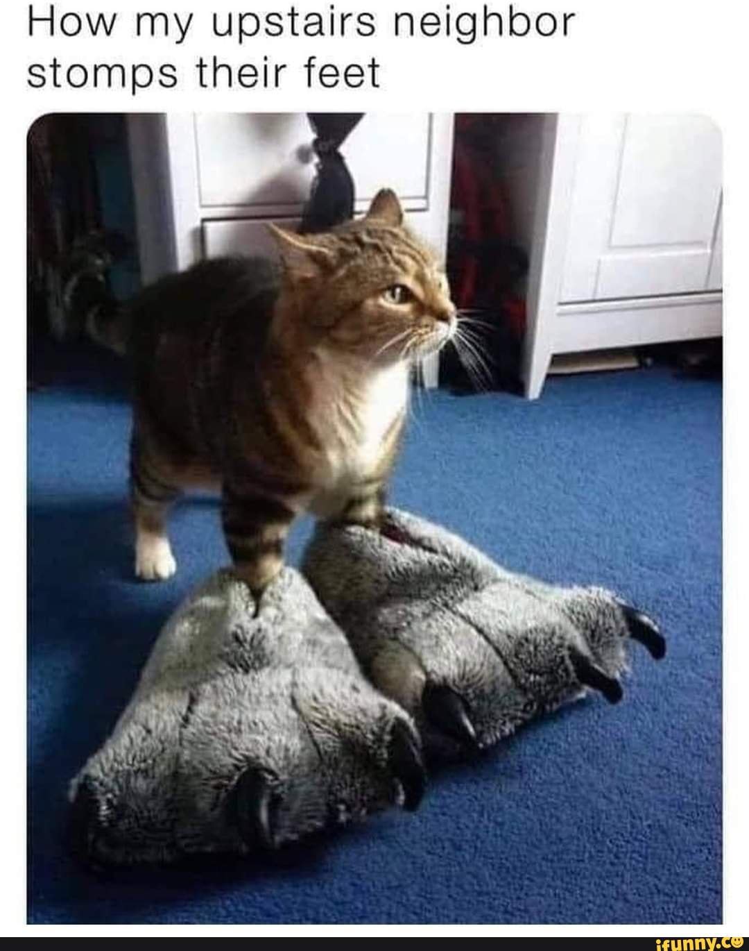 How my upstairs neighbor stomps their feet - iFunny