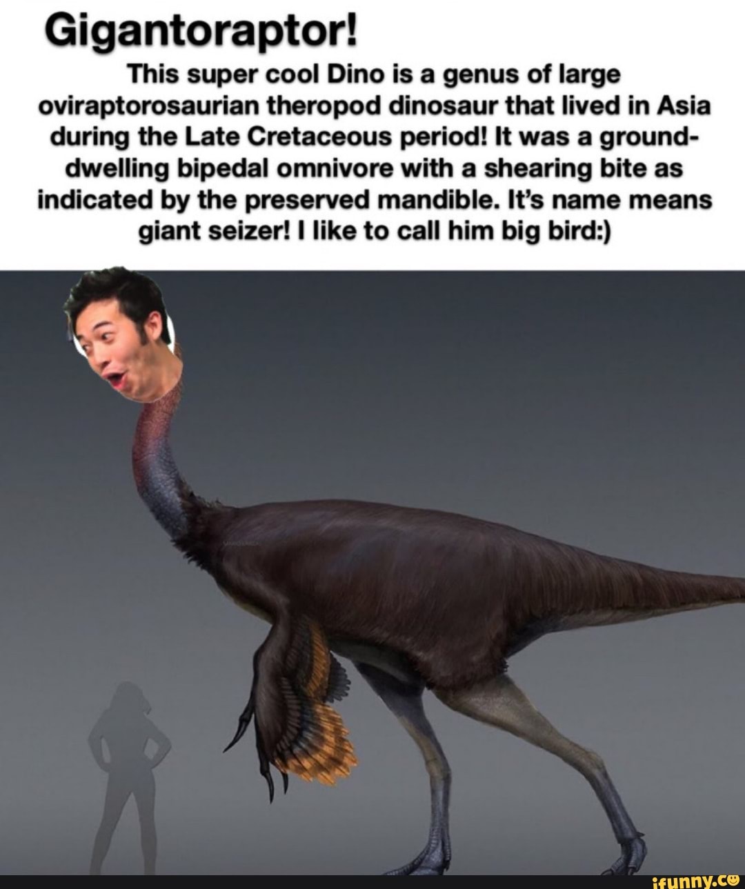 Gigantoraptor! This super cool Dino is a genus of large ...