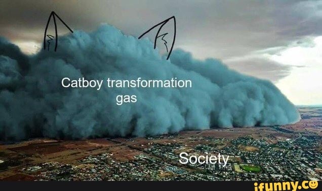Catboy transformation - iFunny