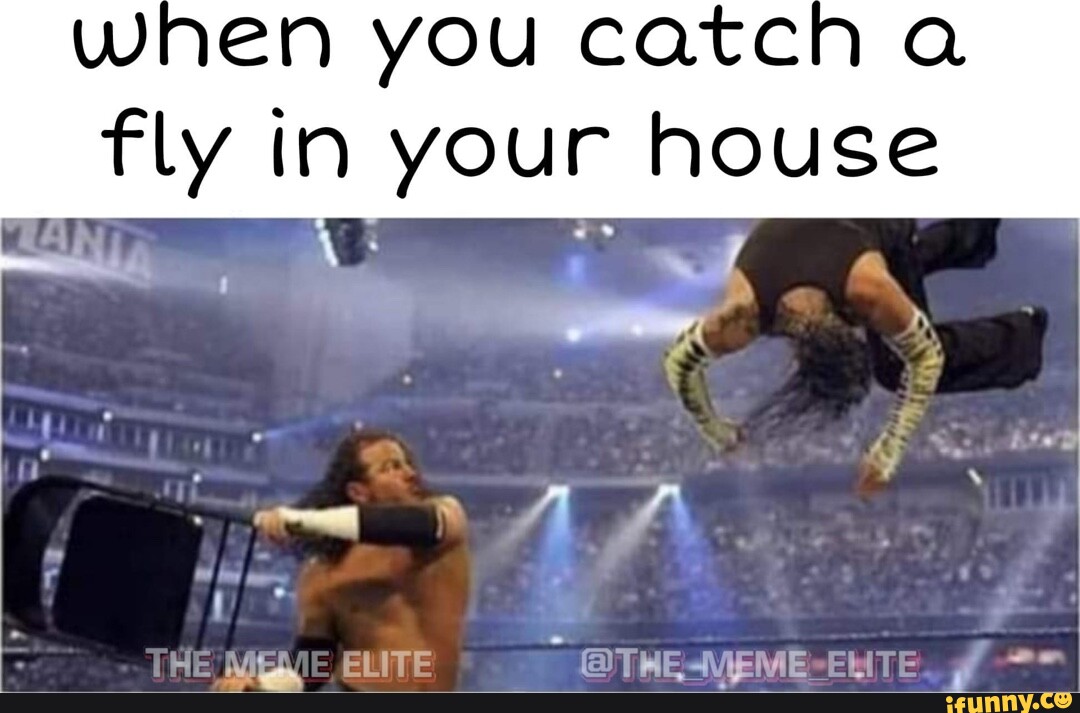 Catcha memes. Best Collection of funny Catcha pictures on iFunny