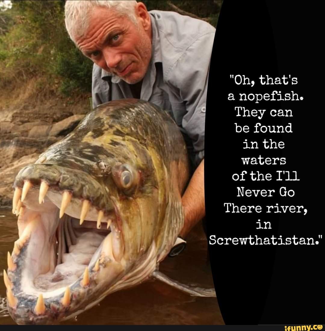 Nopefish memes. Best Collection of funny Nopefish pictures on iFunny