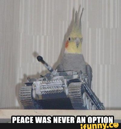 Heuer memes. Best Collection of funny Heuer pictures on iFunny