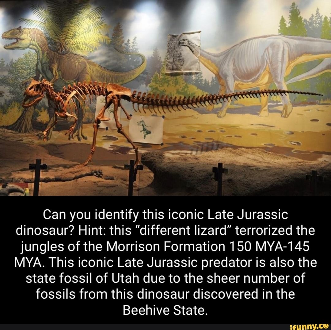 Ny SS \ i ~ \eg Us Can you identify this iconic Late Jurassic dinosaur ...