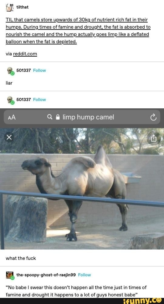 Limp memes. Best Collection of funny Limp pictures on iFunny