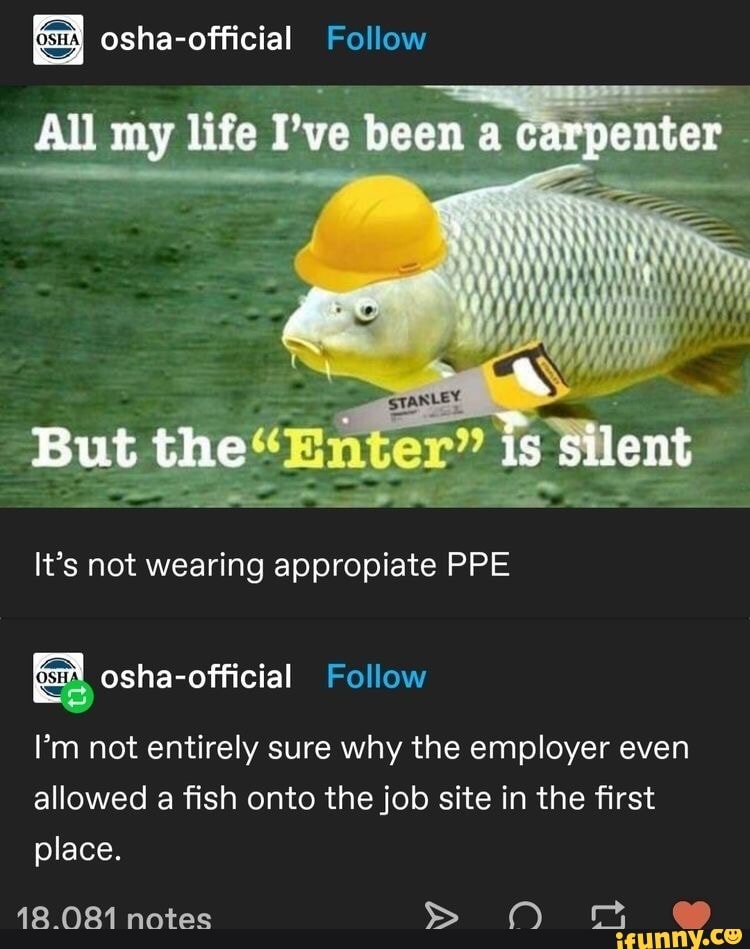 Osha memes. Best Collection of funny Osha pictures on iFunny