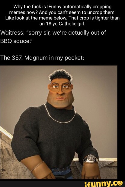 Why the fuck is [Funny automatically cropping memes now? And you can't ...
