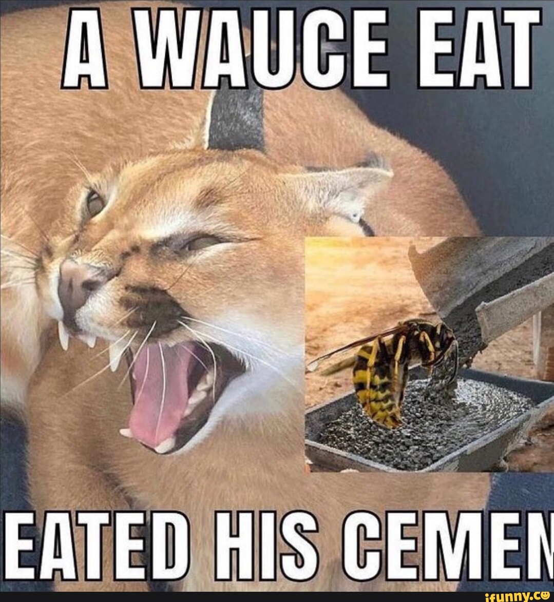 Crete memes. Best Collection of funny Crete pictures on iFunny