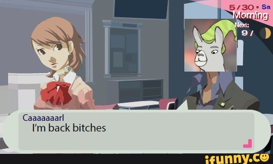 Miraculousladybug memes. Best Collection of funny Miraculousladybug ...