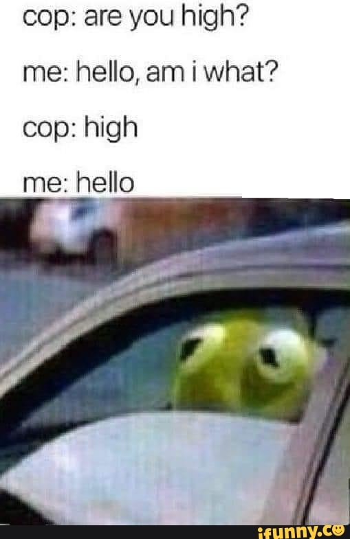 Cop: are you high? me: hello, am what? cop: high me: hello - iFunny
