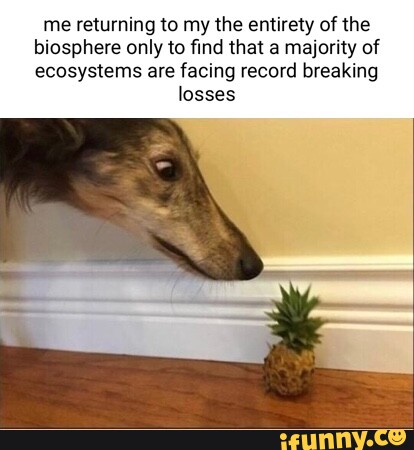 Biosphere memes. Best Collection of funny Biosphere pictures on iFunny