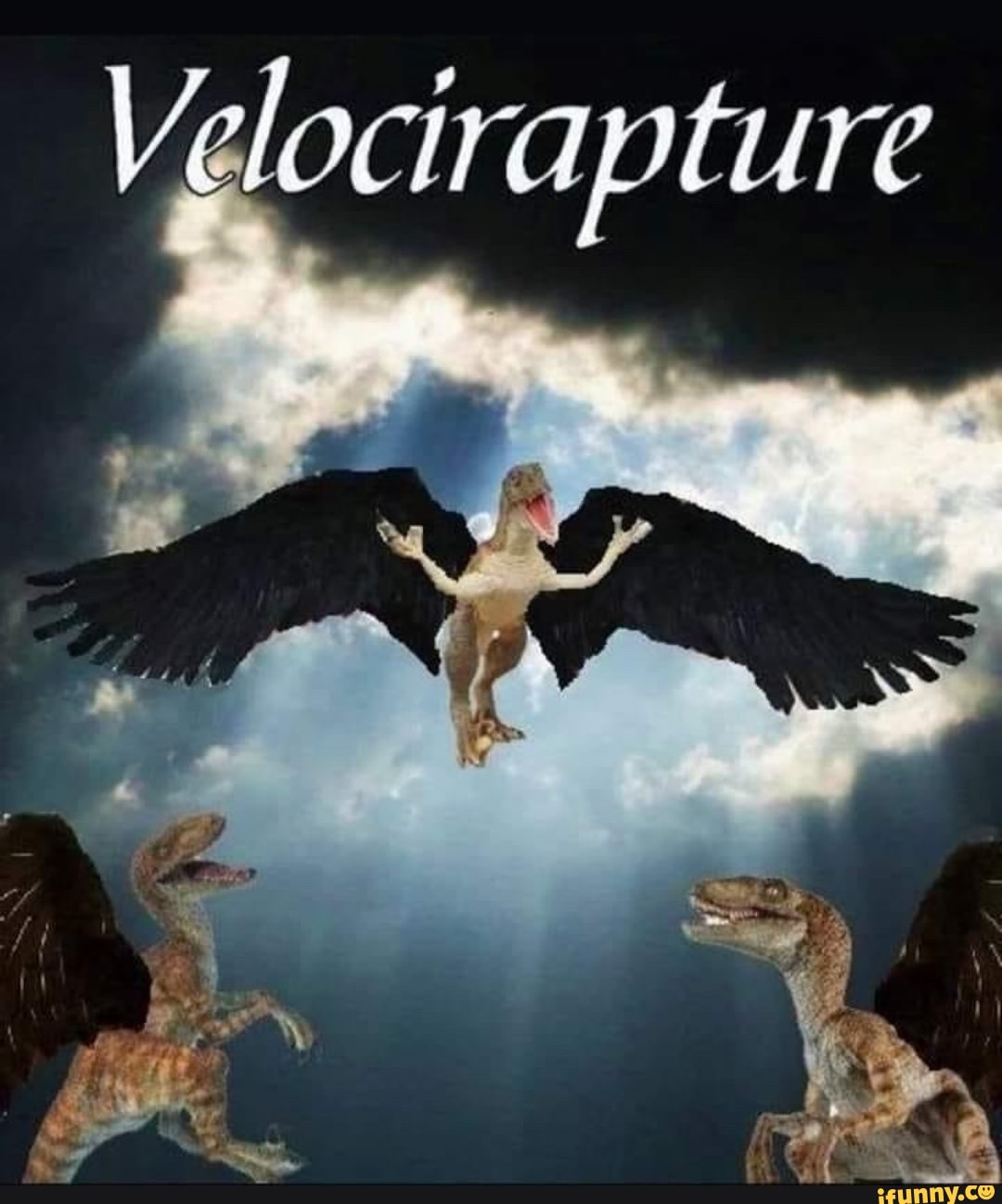 Velocirapture memes. Best Collection of funny Velocirapture pictures on ...