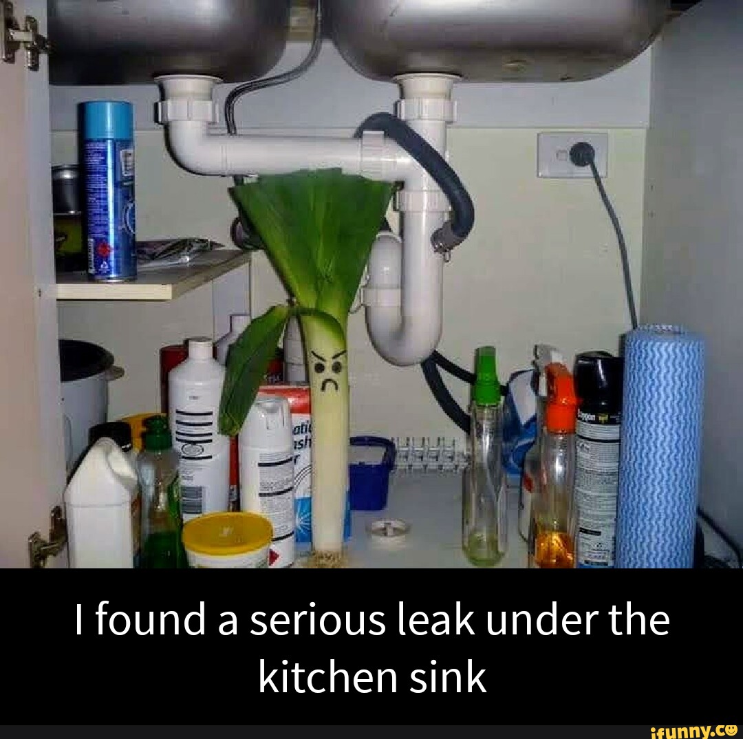 I found a serious leak under the kitchen sink - iFunny
