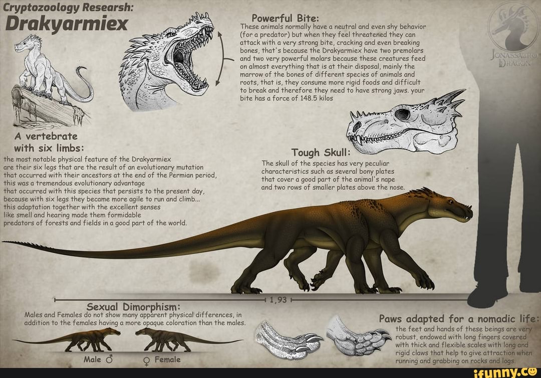 Cryptozoology Researsh: Drakyarmiex Powerful Bite: These animals ...