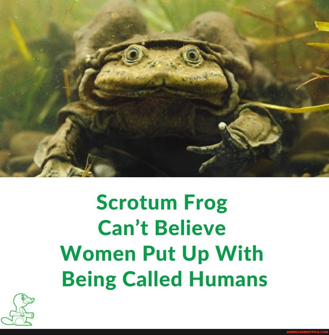Scrotum Frog Can't Believe Women Put Up With Being Called Humans ...