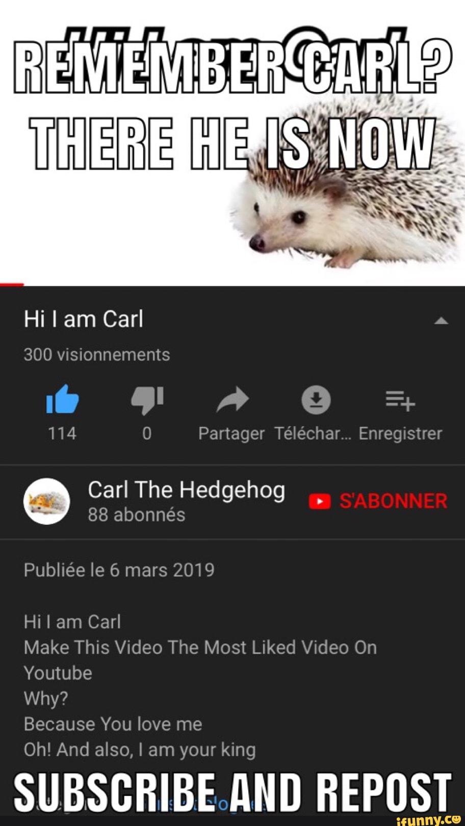 Carl The Hedgehog 88 abonne's Hi [ am Carl Make This Vídeo The Most ...