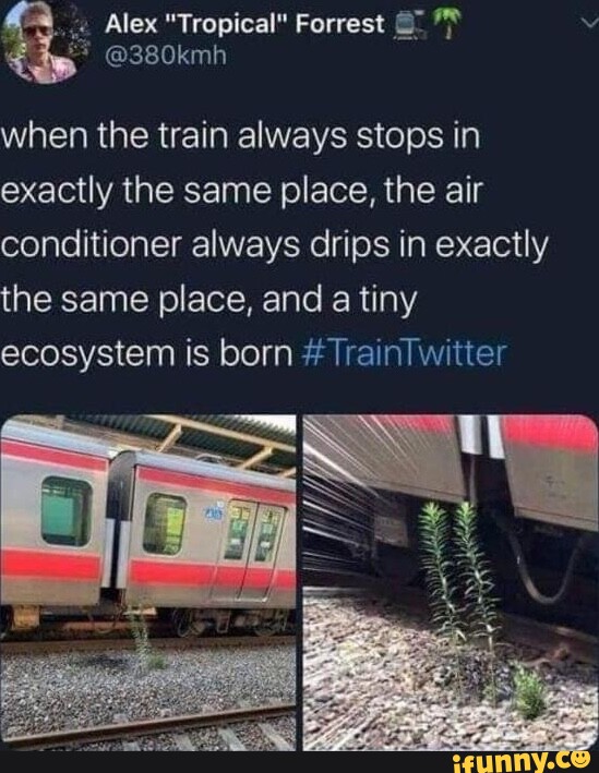Traintwitter memes. Best Collection of funny Traintwitter pictures on ...