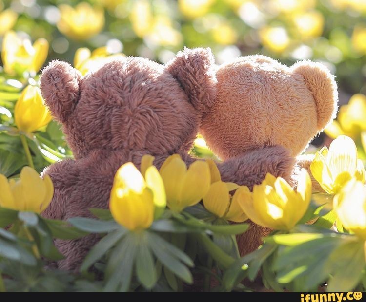 Grattis memes. Best Collection of funny Grattis pictures on iFunny