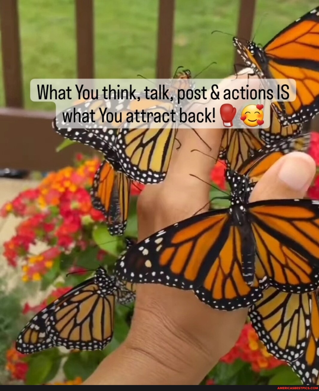 What You think, talk, post & actions IS whet You attract back ...