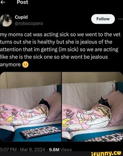 Who want me? NO 100% ad - iFunny