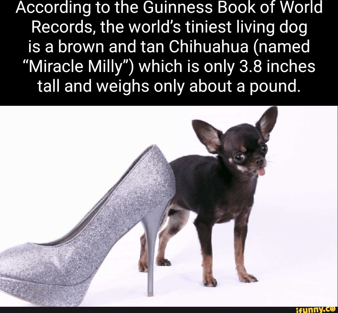 Guinness memes. Best Collection of funny Guinness pictures on iFunny