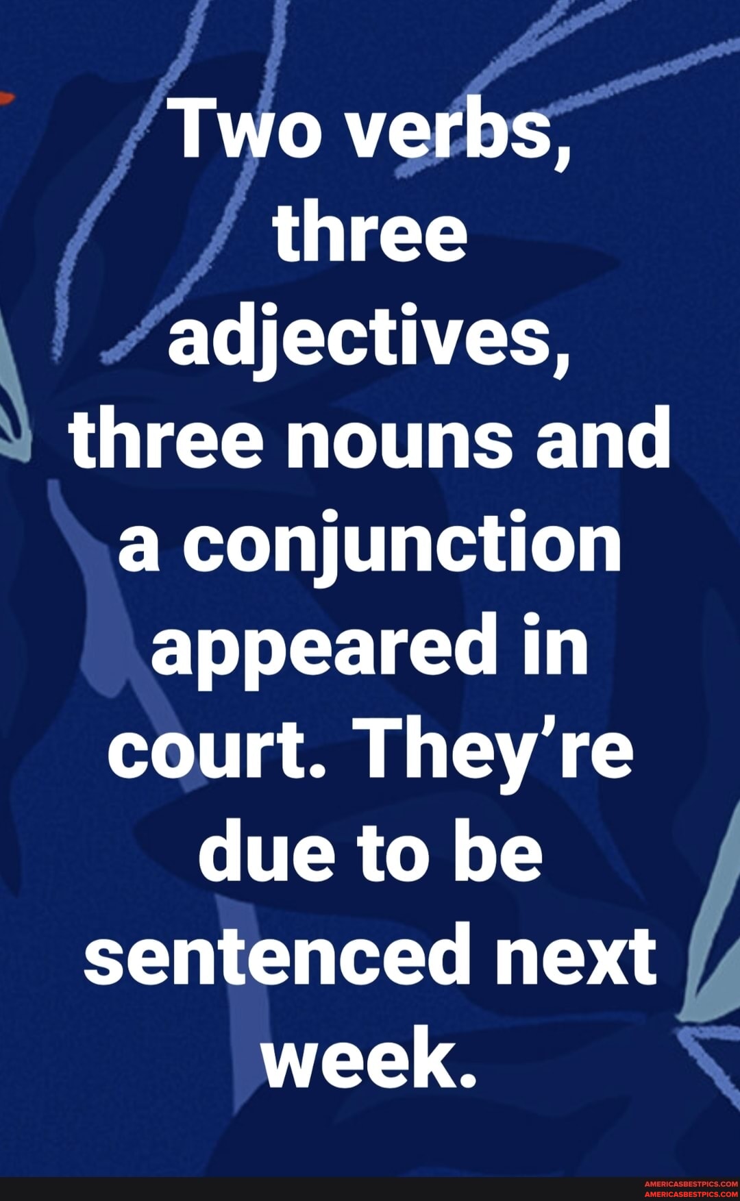 Two verbs, three I adjectives, three nouns and a conjunction appeared ...